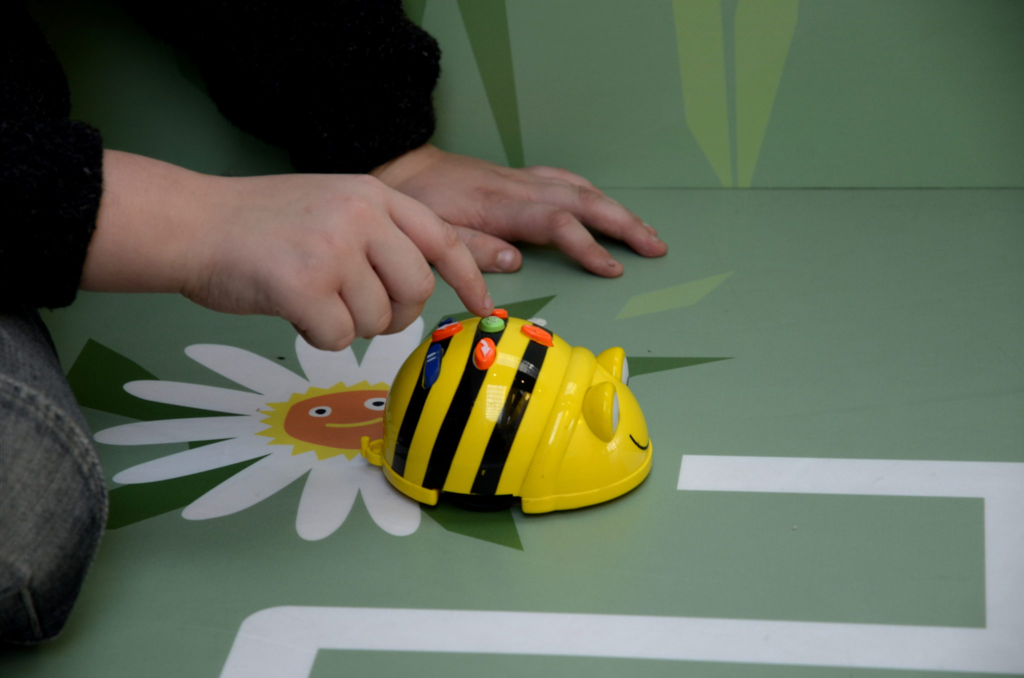 Bee Bots – InfoTastic Academy